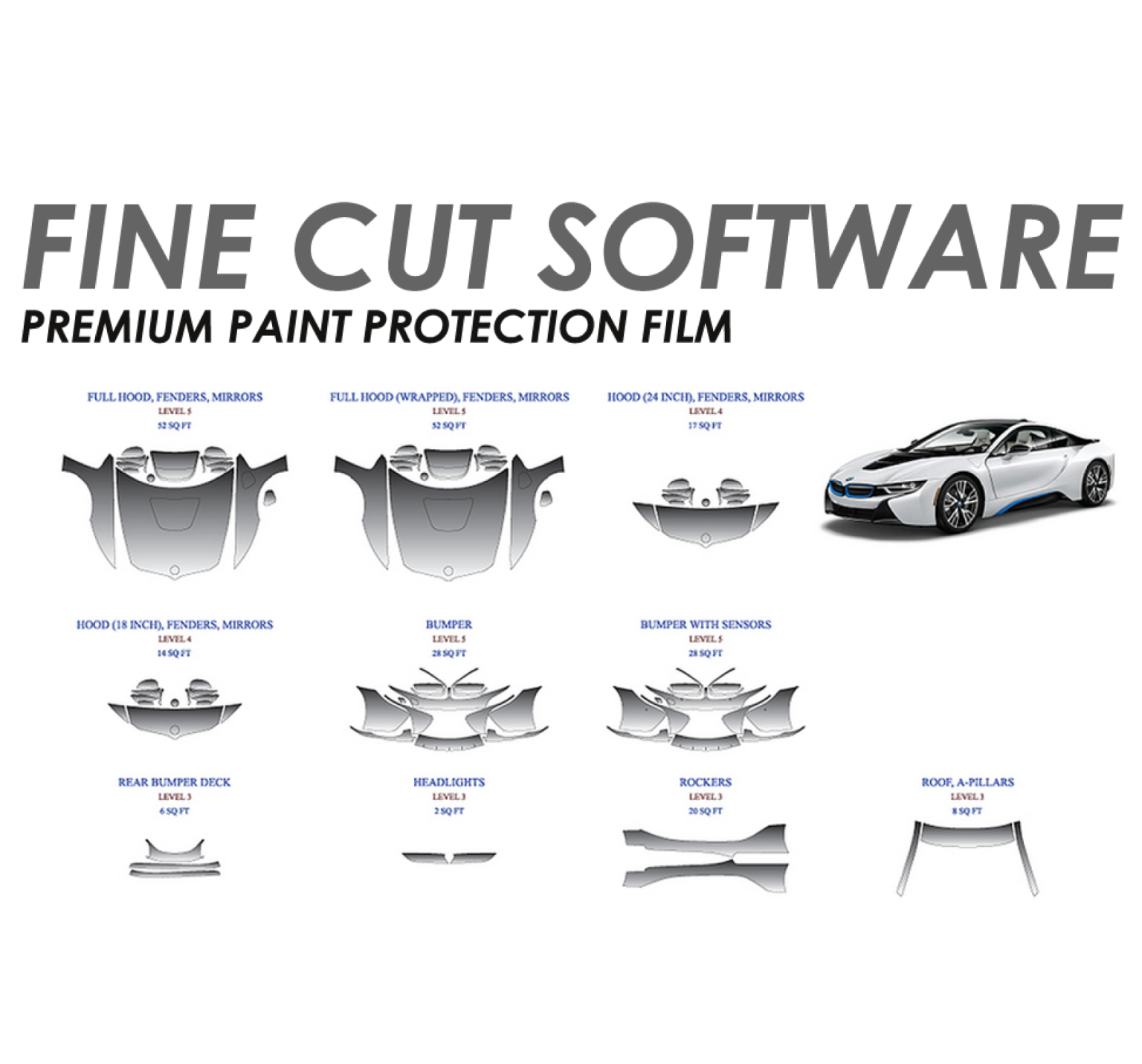 Paint Protection Film - Raytech Malaysia